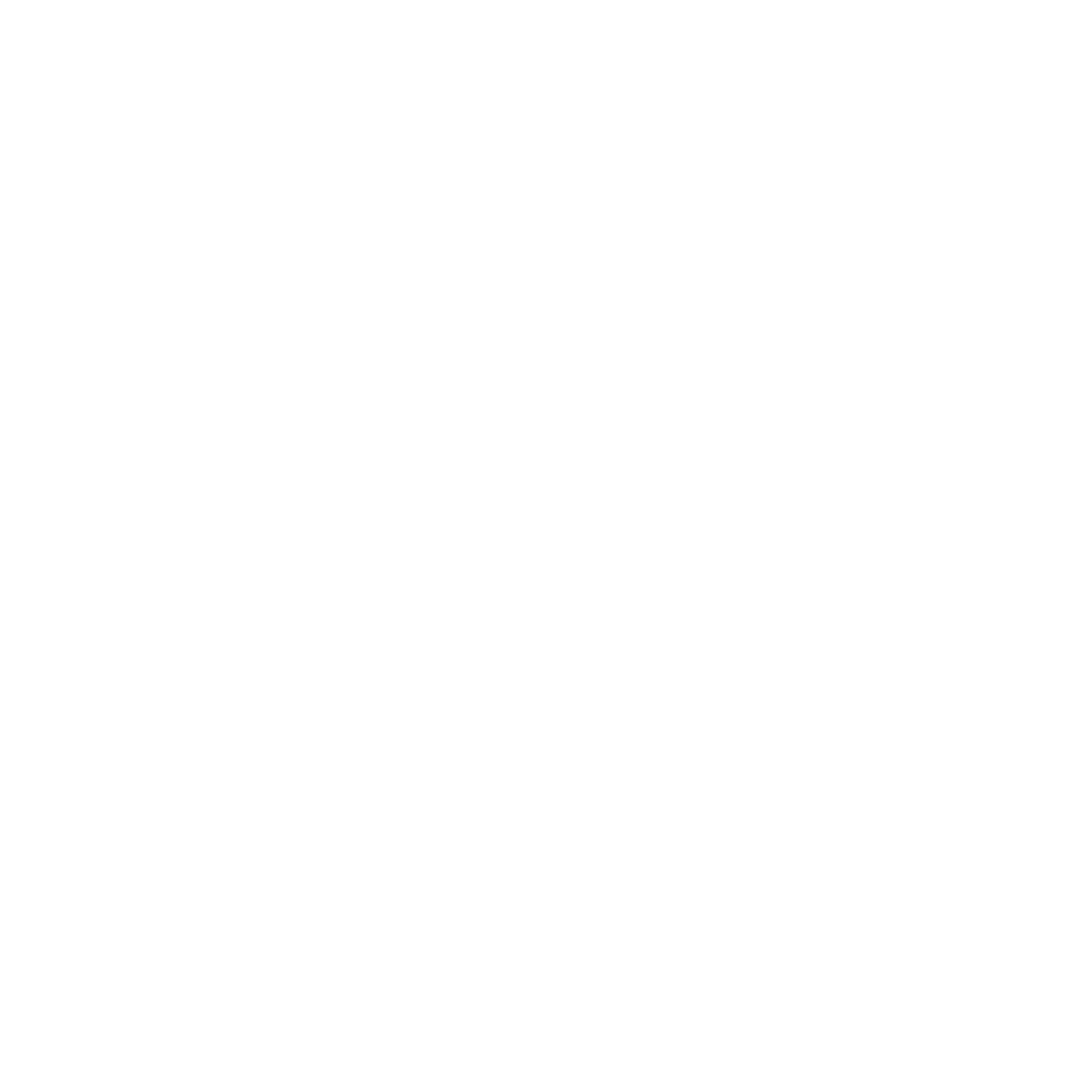 Fyberverse